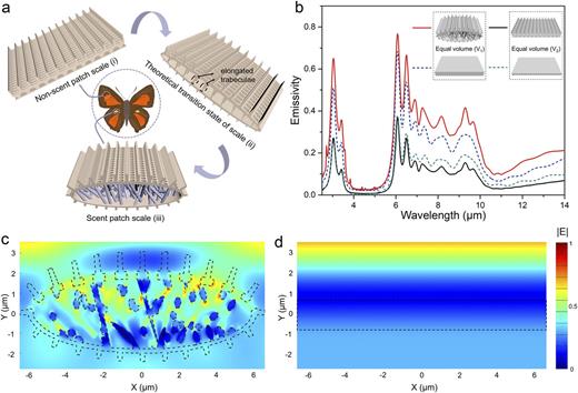 Enhancement of infrared emissivity by the hierarchical microstructures ...