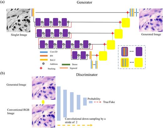 Deep learning virtual colorization overcoming chromatic aberrations in ...