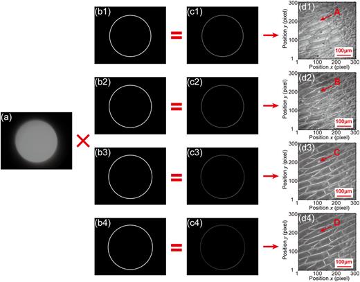 Fourier microscopy based on single-pixel imaging for multi-mode dynamic ...