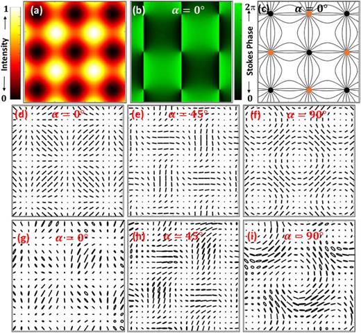 Polarization singularities: Progress, fundamental physics, and ...