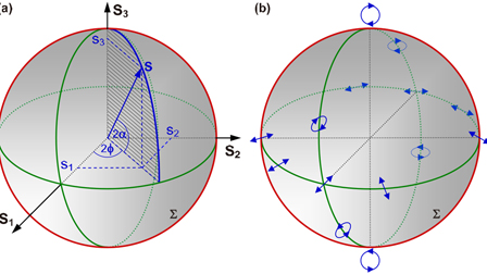 Polarization singularities: Progress, fundamental physics, and ...