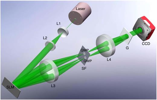Polarization singularities: Progress, fundamental physics, and ...