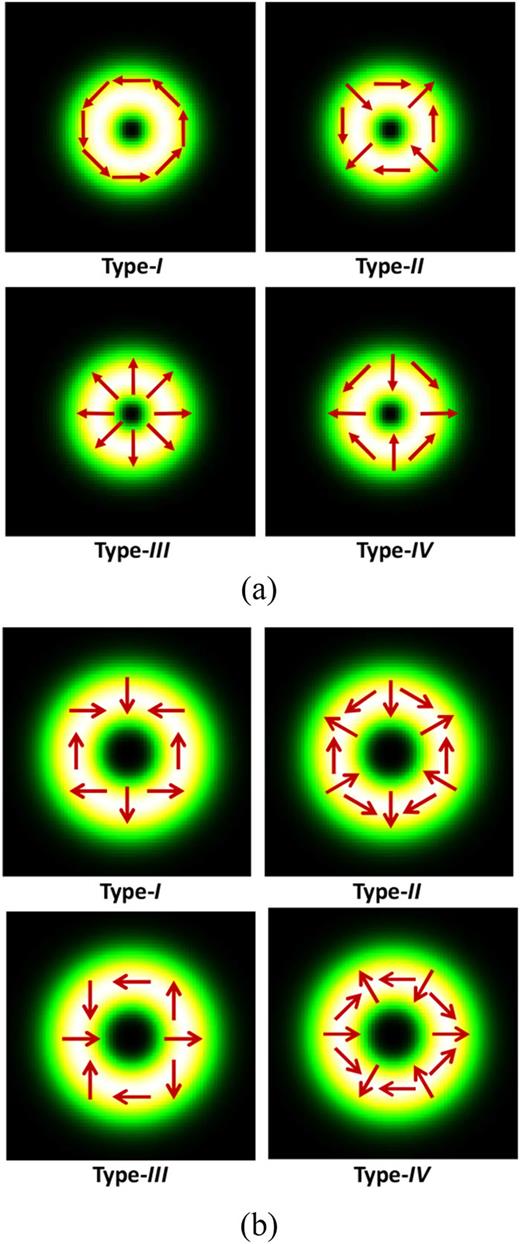 Polarization singularities: Progress, fundamental physics, and ...