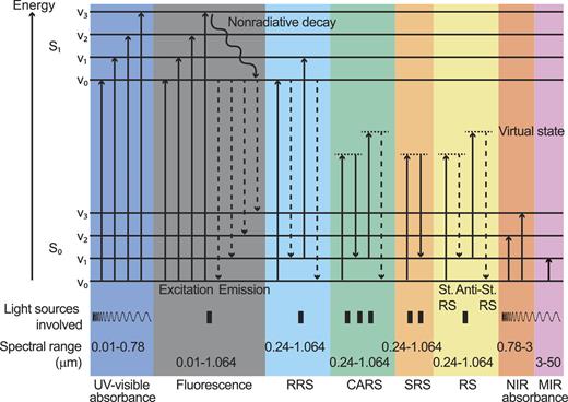 Optical Methods For Bacterial Detection And Characterization Apl