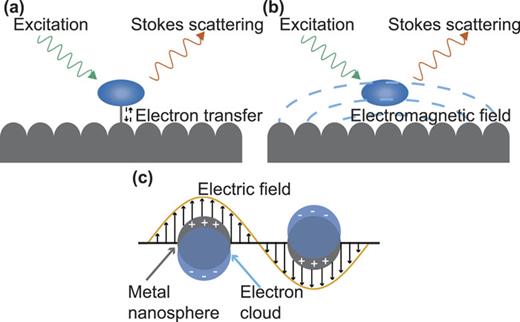 Optical methods for bacterial detection and characterization | APL ...