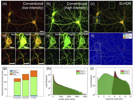 High-throughput high-dynamic range imaging by spatiotemporally ...