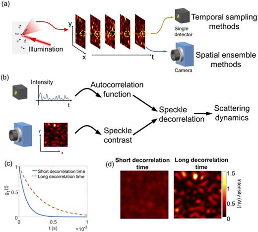 Erratum: “Diffusing wave spectroscopy: A unified treatment on temporal sampling and speckle ...