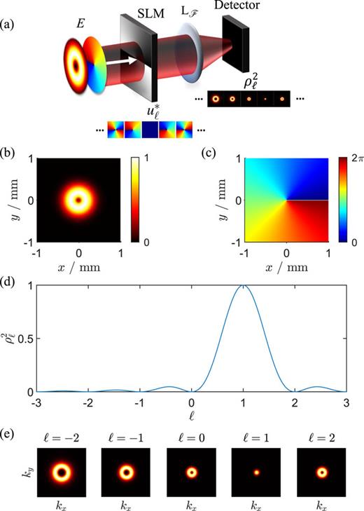 Single-shot all-digital approach for measuring the orbital angular momentum spectrum of light ...