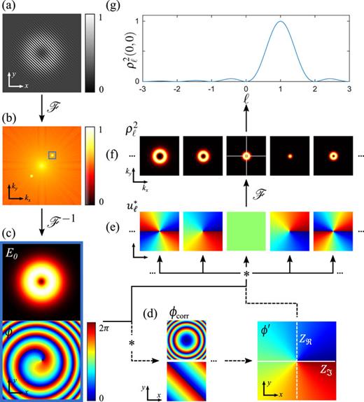 Single-shot all-digital approach for measuring the orbital angular momentum spectrum of light ...