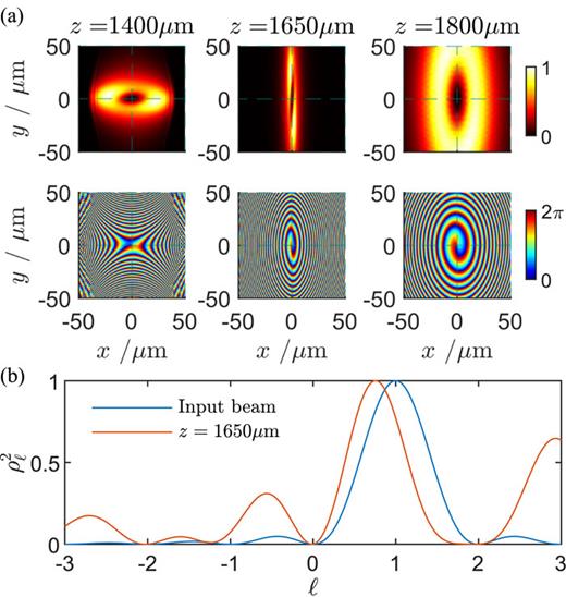 Single-shot all-digital approach for measuring the orbital angular ...