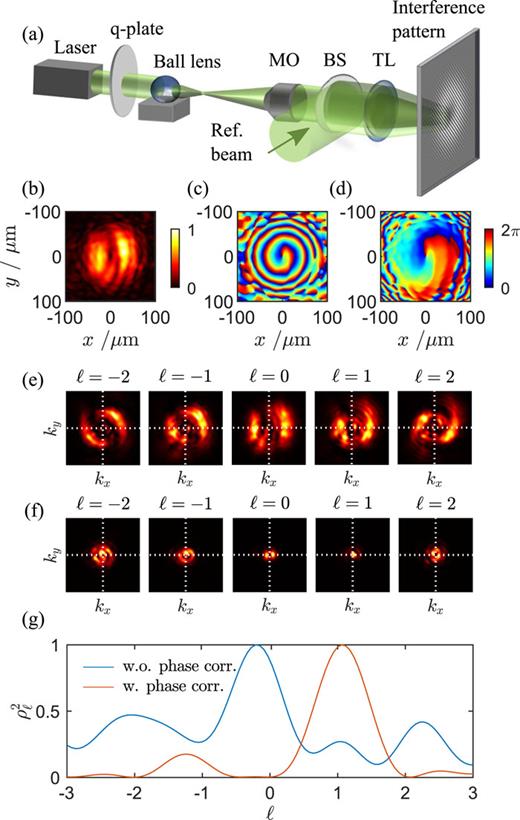 Single-shot all-digital approach for measuring the orbital angular momentum spectrum of light ...