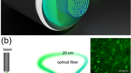 Multimode fiber ruler for detecting nanometric displacements | APL ...
