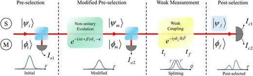 Complete chiroptical signal detection using weak measurement with ...