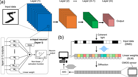 A surface-normal photodetector as nonlinear activation function in diffractive optical neural ...