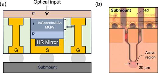 A surface-normal photodetector as nonlinear activation function in ...