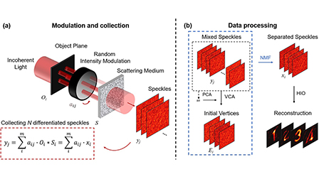 Prior-free mixed speckle simplex separation strategy for multi-object imaging through thin ...