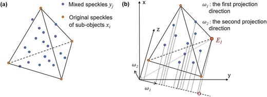 Prior-free mixed speckle simplex separation strategy for multi-object imaging through thin ...