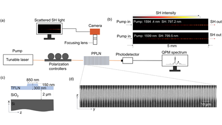 Unveiling the origins of quasi-phase matching spectral imperfections in thin-film lithium ...