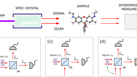 Witnessing entangled two-photon absorption via quantum interferometry ...