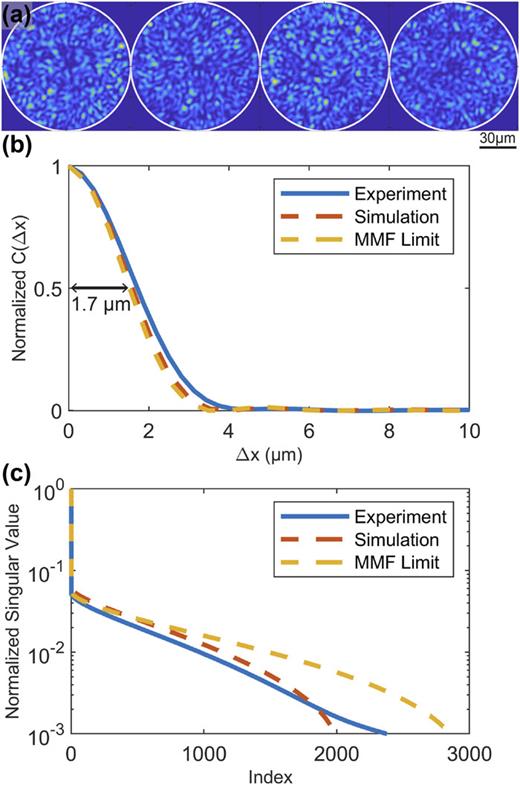 Silicon photonic integrated circuit for high-resolution multimode fiber ...