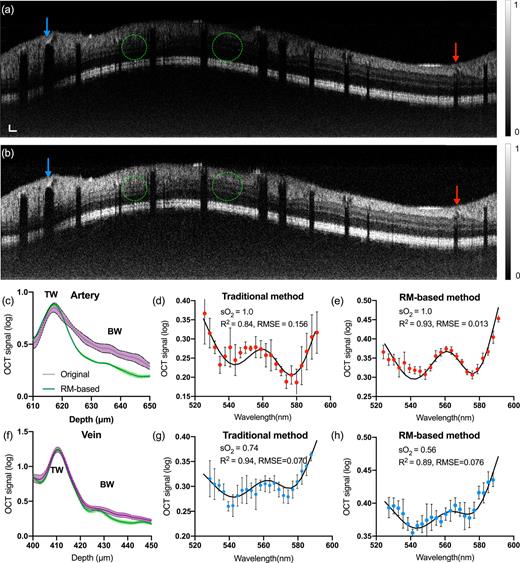 Spectral domain isolation of ballistic component in visible light OCT ...