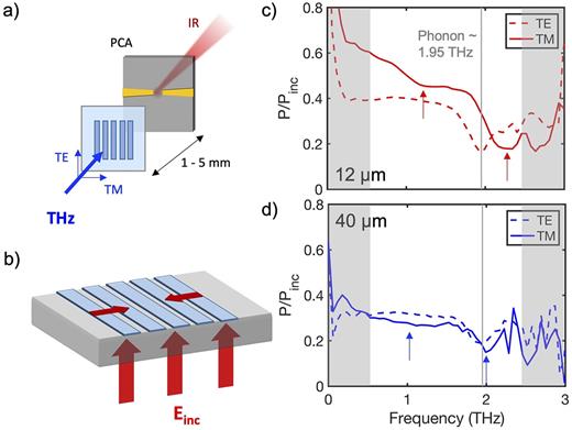 Near-field spectroscopy of Dirac plasmons in Bi2Se3 ribbon arrays | APL ...