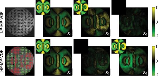 The appearance and annihilation of the spin angular momentum for the ...