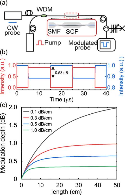 Toward in-fiber nonlinear silicon photonics | APL Photonics | AIP Publishing