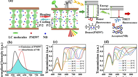 Efficient and tunable liquid crystal random laser based on plasmonic ...