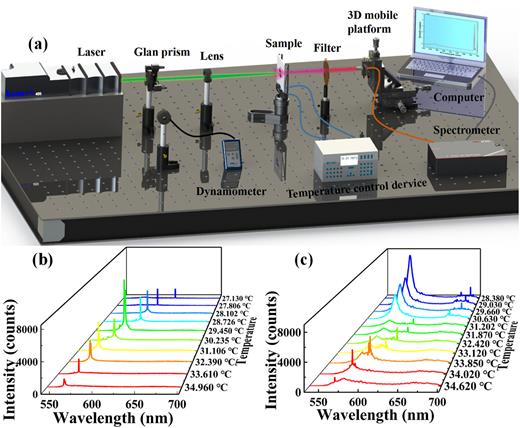 Efficient and tunable liquid crystal random laser based on plasmonic ...