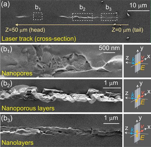 3D structured Bessel beam polarization and its application to imprint chiral optical properties ...