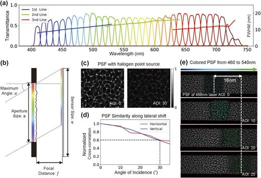 Aperture-encoded snapshot hyperspectral imaging with a lensless camera ...