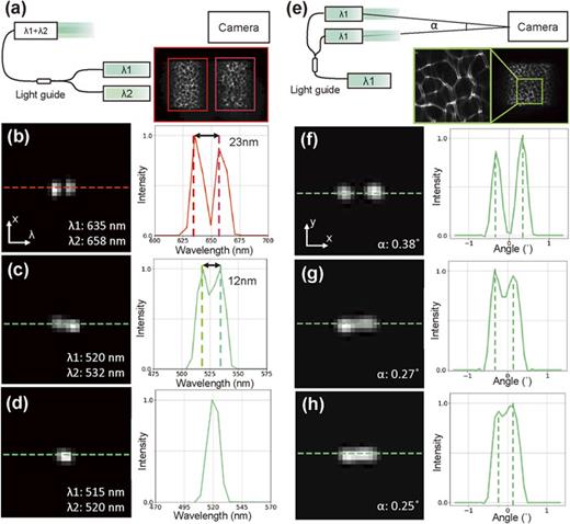 Aperture-encoded snapshot hyperspectral imaging with a lensless camera ...