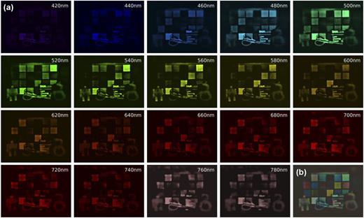 Aperture-encoded snapshot hyperspectral imaging with a lensless camera ...