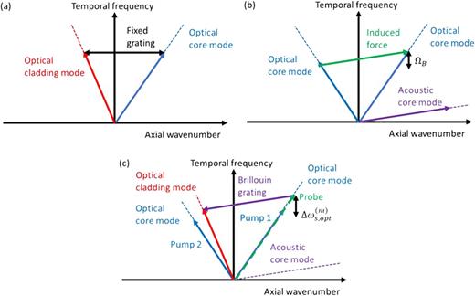 Opto-mechanical fiber sensing with optical and acoustic cladding modes ...