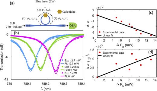 Single- and two-photon absorption induced all-optical control of ...