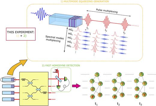 Spectrally shaped and pulse-by-pulse multiplexed multimode squeezed ...