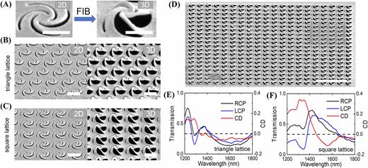 Toroidal Electric Dipole Enabled Chiral Surface Lattice Resonances In Stereo Propeller