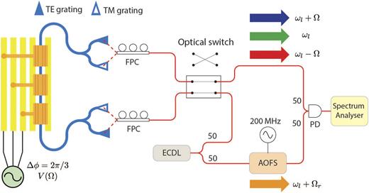 Electro-optic non-reciprocal polarization rotation in lithium niobate ...