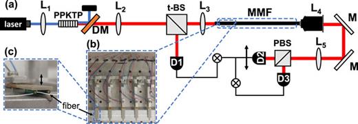 Shaping single photons through multimode optical fibers using ...
