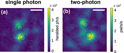 Shaping single photons through multimode optical fibers using ...