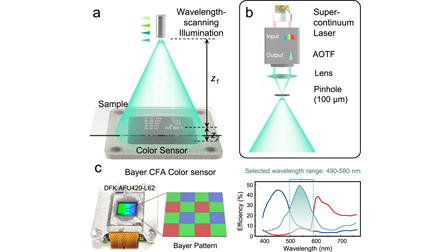 Wavelength-scanning pixel-super-resolved lens-free on-chip quantitative phase microscopy with a ...