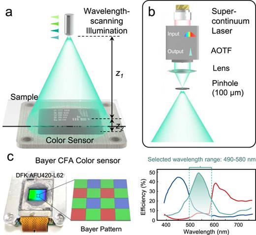 Wavelength-scanning pixel-super-resolved lens-free on-chip quantitative ...