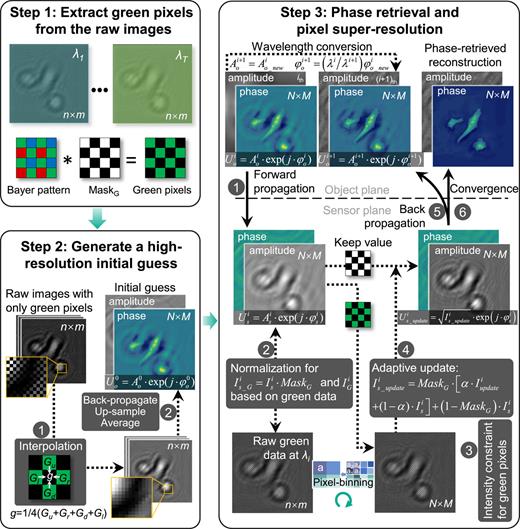 Wavelength-scanning pixel-super-resolved lens-free on-chip quantitative phase microscopy with a ...