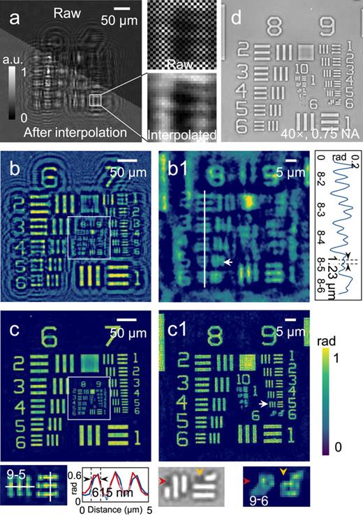 Wavelength-scanning pixel-super-resolved lens-free on-chip quantitative phase microscopy with a ...