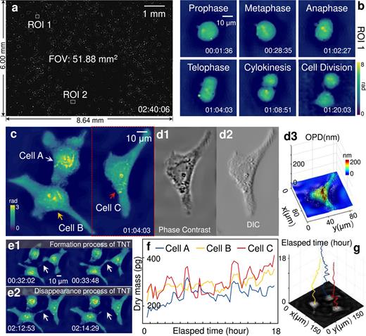 Wavelength-scanning pixel-super-resolved lens-free on-chip quantitative ...