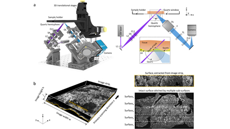 Label-free and non-destructive histology of unprocessed biological ...