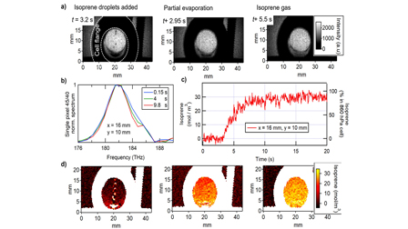 Broadband dual-comb hyperspectral imaging and adaptable spectroscopy ...