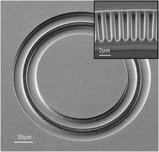 Compact vertical emitting ring interband cascade lasers for isotope ...