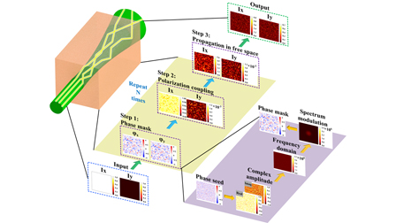 Vector angular spectrum model for light traveling in scattering media ...